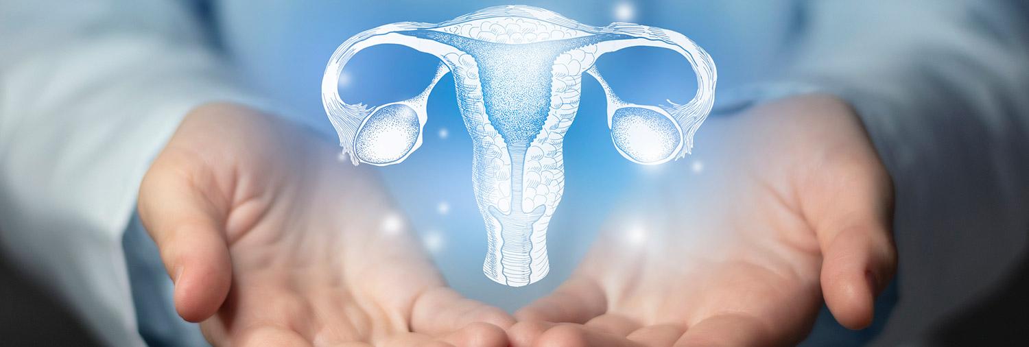 Menopausa precoce: saiba como identificar e entenda mais sobre os ...